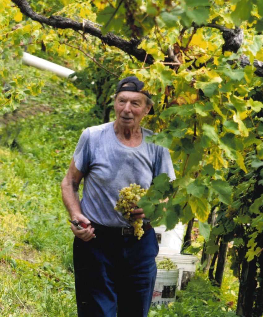 Giovanni Nardi - Le Memorie